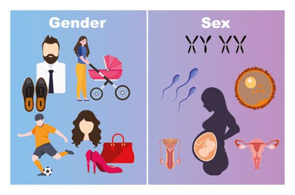 تفاوت جنس و جنسیت چیست و دانستن آن چه اهمیتی دارد؟ سپندمینو